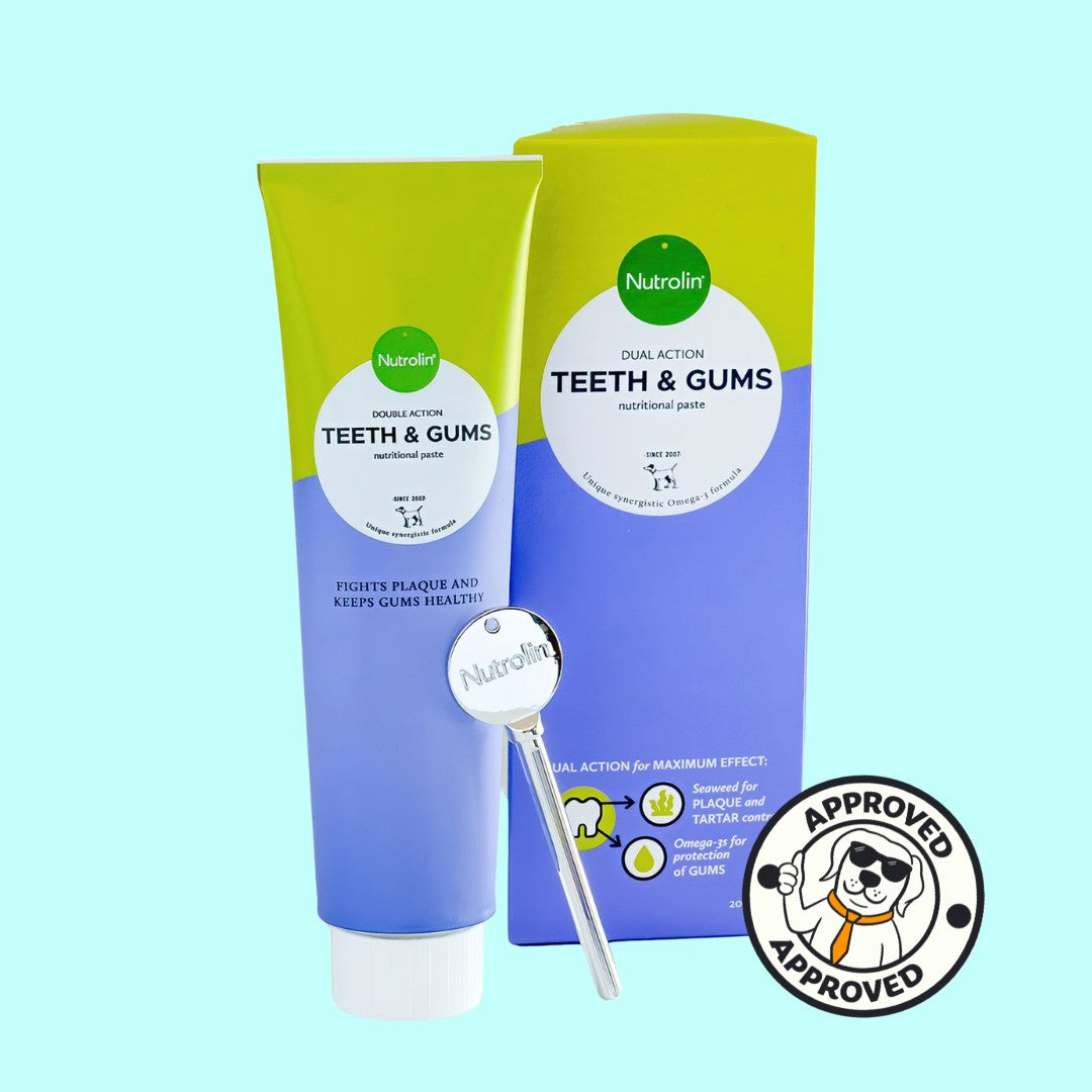 Nutrolin Teeth & Gums Nutritional Paste – The Complete Pet Company